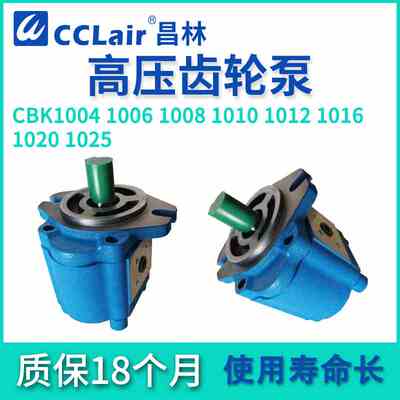 CBK1004高压1012齿轮泵1006/1008/1010/1016/1020/1025-B1FR/A1FR
