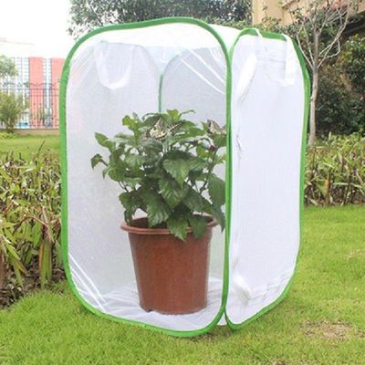 极速Green Collapsible Insecty Cage Mesh Insect Habitat Cage