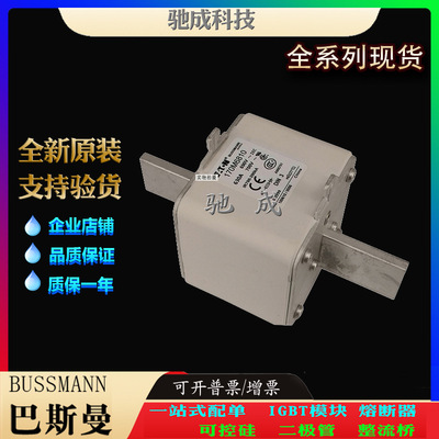 巴斯曼170M6906 170M6907 170M6908 现货供应优价供应 高速熔断器