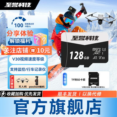至誉科技Element系列microSD V30 A1存储无人机运动相机内存tf卡
