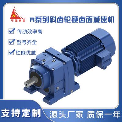 平阳泰星R系列斜齿轮减速机变速机搅拌专用