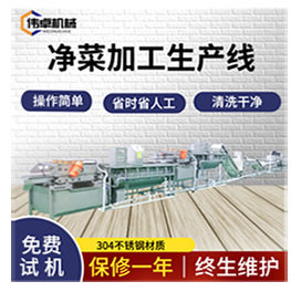 果蔬清洗加工流水线成套设备球茎类清洗蔬菜生产线大型净菜清洗机