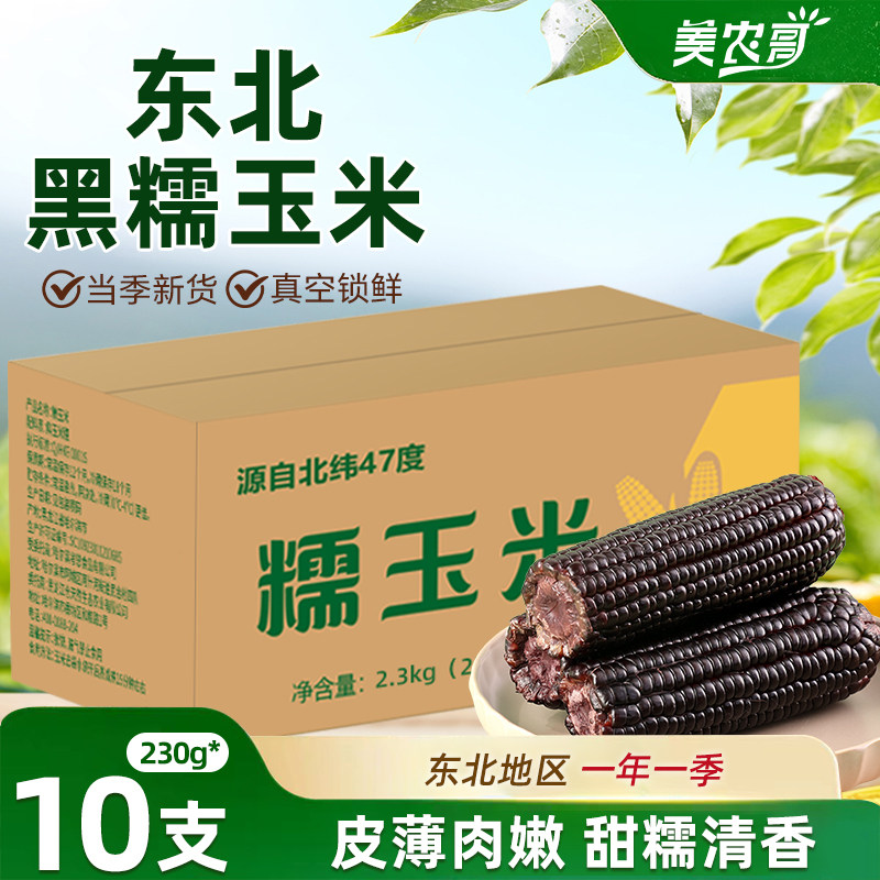 当季新货东北黑糯玉米新鲜黑糯玉米棒真空包装黏玉米苞米早餐dx