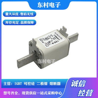 现货170M2668 170M2669 170M2670 170M2671全新熔断器