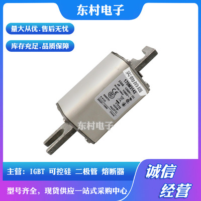 熔断器全新170M3363 170M3364 170M3365 170M3366 170M3367现货