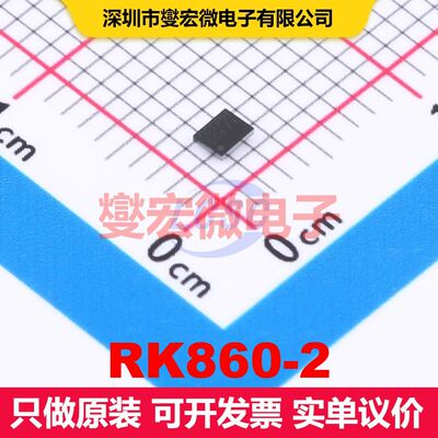 RK860-2 WLCSP-20 直流开关电压调节器 电源管理 集成芯片IC