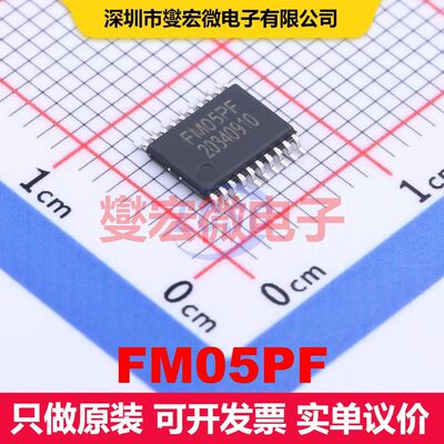 FM05PF TSSOP-20 电池管理 电源管理 集成芯片IC