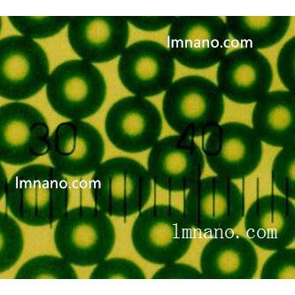 5um红色荧光微球5ml
