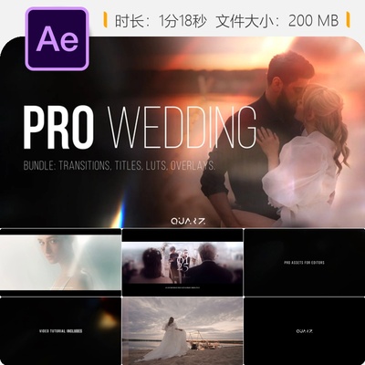 专业婚礼AE模板电影感转场LUT调色叠加层视频素材包光效字幕动画