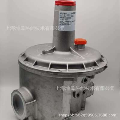 PietroFiorentini菲奥调压阀FMF301650007AB