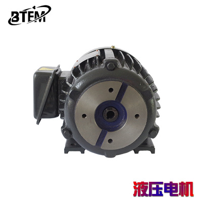 厂家HGP1A齿轮油泵电机三相卧式油压马达立式液压电动机