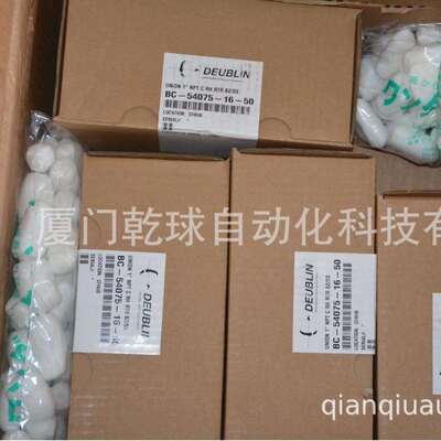 闪电新品 DEUBLIN 蒸汽双通道 旋转接头 BC-54100-16-50
