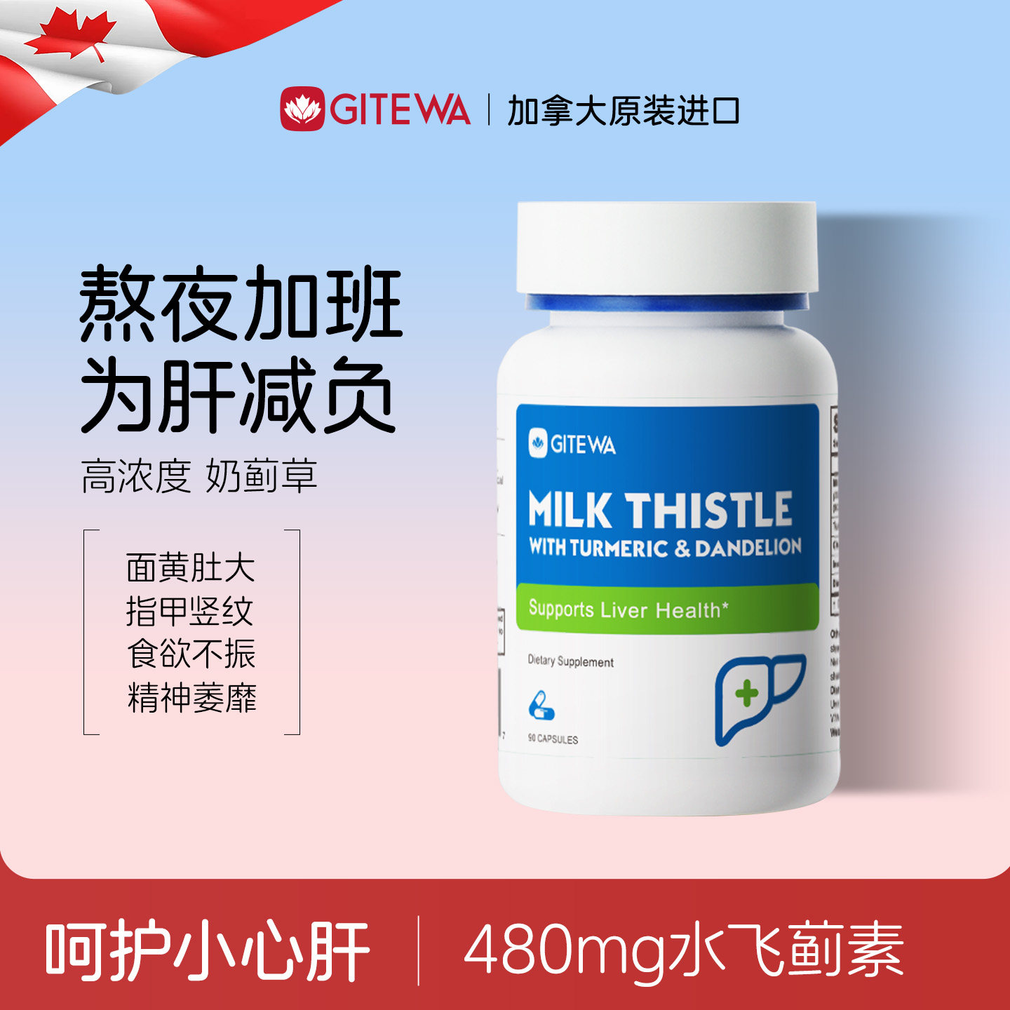 Gitewa加添维护肝片胆碱女性男士奶蓟草水飞蓟类养熬夜护旰片