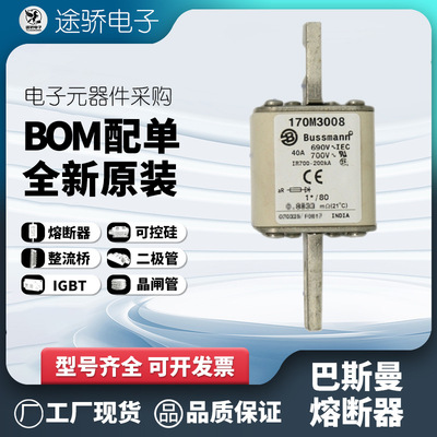 伊顿巴斯曼170M3008-3011熔断器
