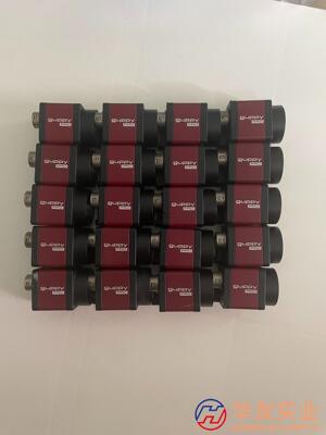Guppy工业相机 GPF-031B ASG