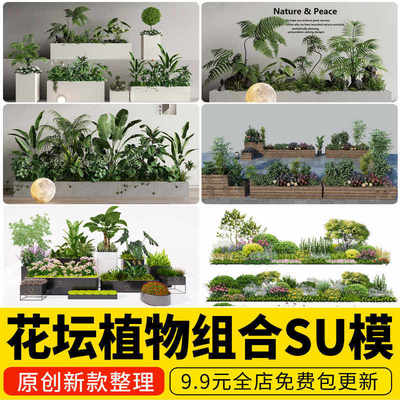 花坛花池花园花镜境植物组合组团搭配庭院景观小品草图大师SU模型