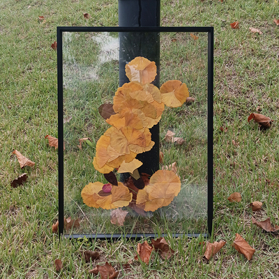 铝合金透明落叶相框树叶标本捡秋天叶子画框收集diy手工收藏画框