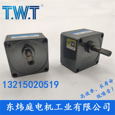 TWT电机 2GN3K~180K齿轮减速箱2GN20K 2GN100K 台湾东炜庭电机