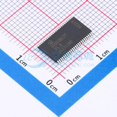 数字隔离器 ISO1I813T TSSOP-48-6.2mm 原装正品 电子元器件配单