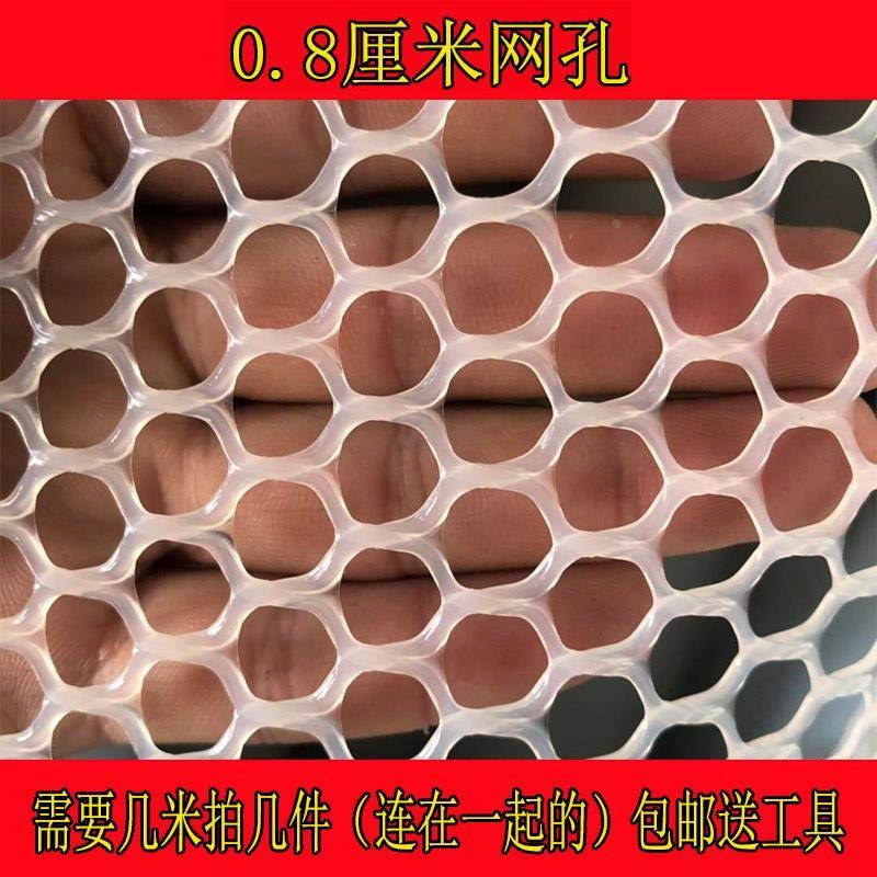 塑料平网养殖网片育鸡苗鹌鹑鸽子小孔雏鸡笼育雏脚垫漏粪网格