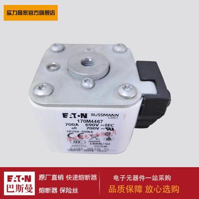 熔断器170M3496 170M3497 170M4488 170M4489 170M4490 170M4491