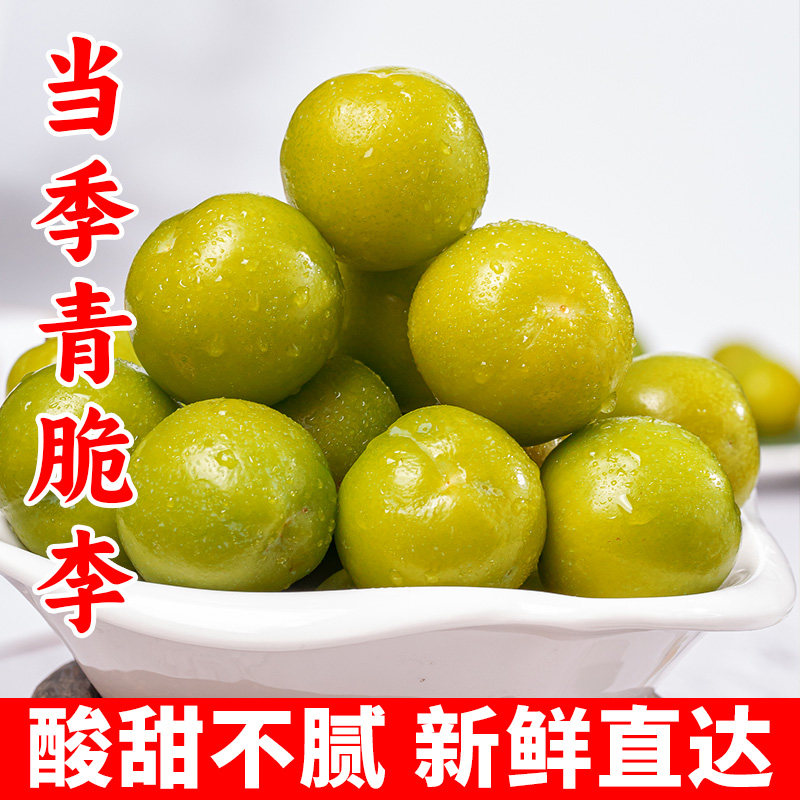 李子新鲜现摘批发当季应季孕妇助农水果特大青脆李