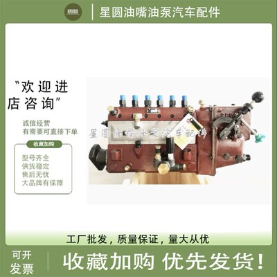 上海伊捷6PB/228GB高压油泵BH6B100YS28G上柴南通6135柴油喷油泵