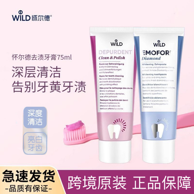 Wild怀尔德瑞士钻石粉牙膏抛光亮白护龈去黄牙垢含氟防蛀去渍75ml
