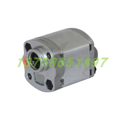 浙江正赢举升机专用齿x轮泵CBK-F233-GH