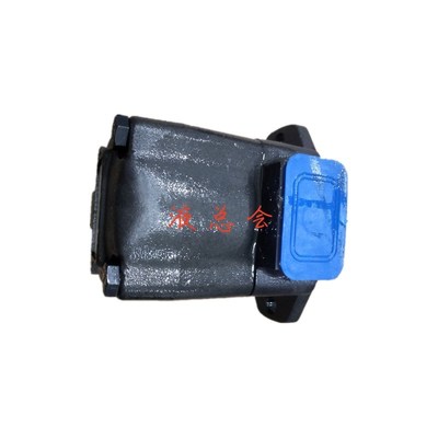 ZHENYUAN震远液压柱塞泵PVV2-1X/0G68-RA15UM-B油泵质保一年
