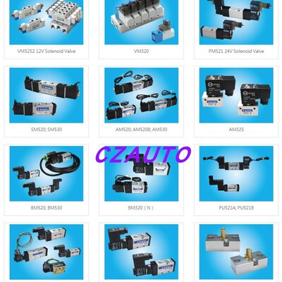 Flow 气缸 STANDARD/STAINLESS CYLINDER  SOLENOID VAYLVE 电磁