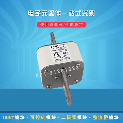 巴斯曼熔断器170M6603 6608 6609 6610 6611 6612 6613 6614 6615