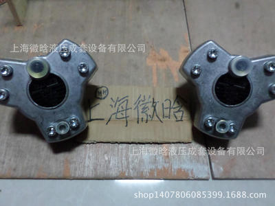 HAWE哈威R系列径向柱塞泵R5.8