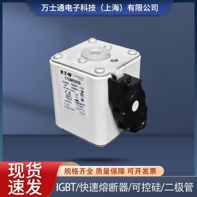 170M5952/5953/5954/5955/5956/5957/595/5959/5960/5961熔断器