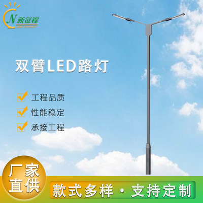 LED市电双臂路灯 高低臂双头路灯8米10米12米道路照明路灯杆