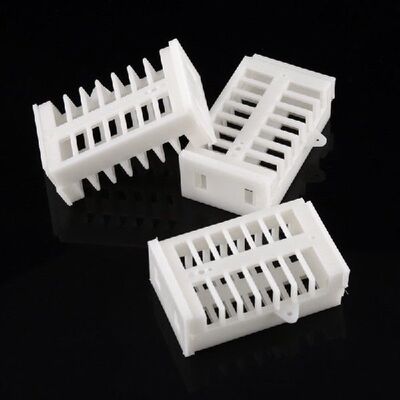极速100 Pcs Removablpe Bee Cage Beekeeping Equipment Beekeep
