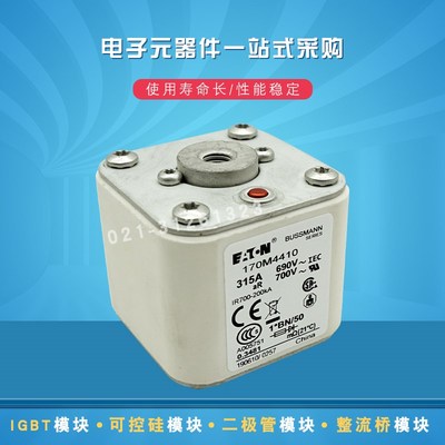 快速熔断器保险丝170M4411 4412 4413 4414 4415 4416 4417  4418