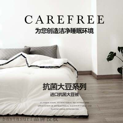 新品Winter modal three-dimensional soybean quilSt core antib