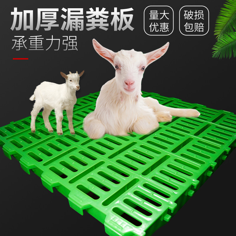 新品羊漏粪板猪用羊m床复合漏粪板塑料猪用羊圈猪产床羊舍保育猪