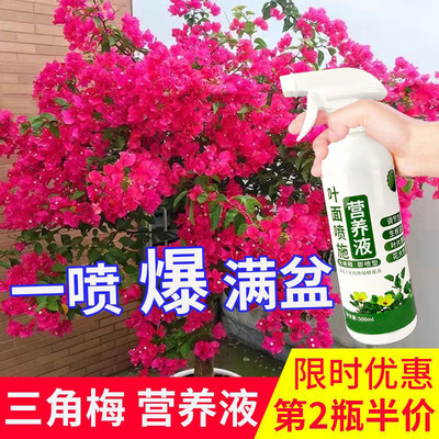 营养液养花专用通用三角梅专用肥营养液催花促叶面喷施植物活力素
