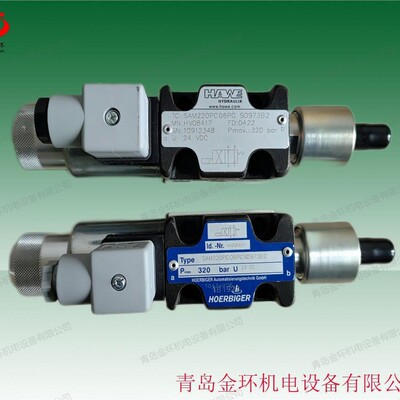 SAM220PC06PGS0973B HV08417 SAM220PC06B HV04278 HOERBIGER