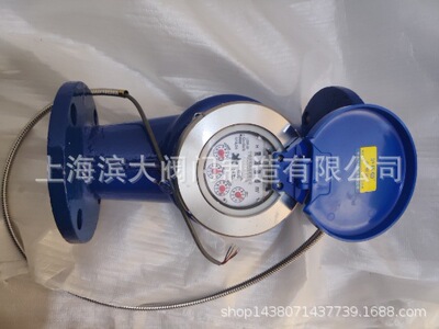 滨大阀门牌远传水表 RS485接口 冷水表DN50-DN200