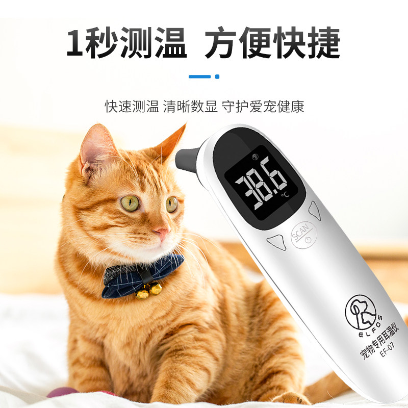 新品猫咪体温计宠物专用测体温狗用兽用猪用电子测量温Y度计猫用