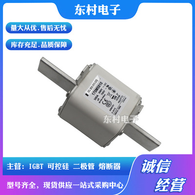 现货全新熔断器170M6747 170M6748 170M6749 170M6750 170M6751