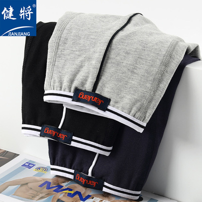 健将莫代尔棉男士平角内裤男窄边中腰弹力透气男生运动四角短裤衩