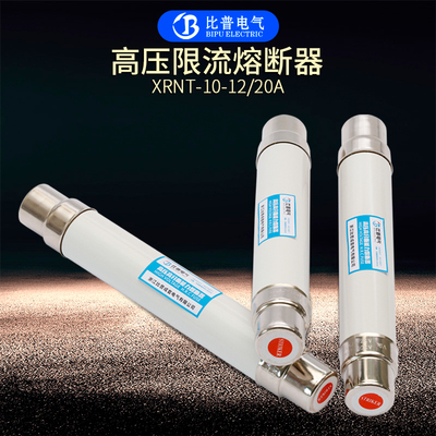 好货高压限流熔断器XRNT-10 XRNP XRNM高分段电力保护陶瓷熔管10-