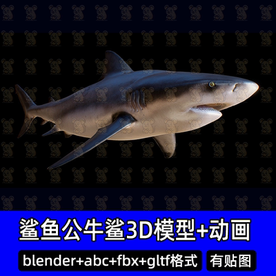 Blender写实骨骼绑定鲨鱼公牛鲨3D模型FBX C4D海洋动物abc游动画