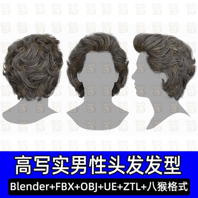 3DScanStore写实毛发男性插片发卡发型蓬松短发3D模型blender fbx
