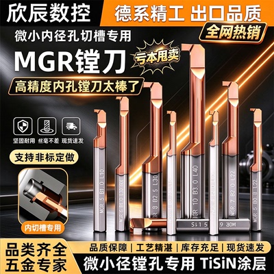 MGR小径内孔槽刀非标定制