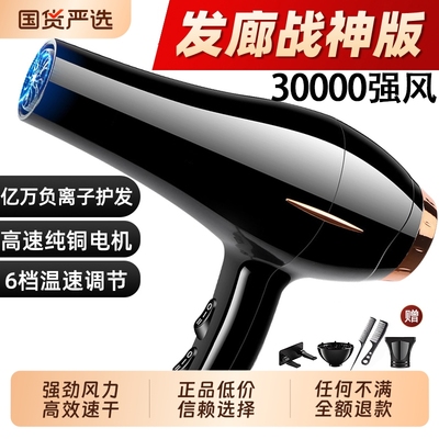 大风力速干发廊款吹风机